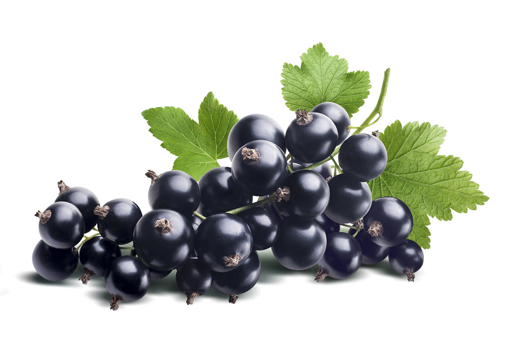 Crème de Cassis - Blackcurrant Liqueur – IL GUSTO UK