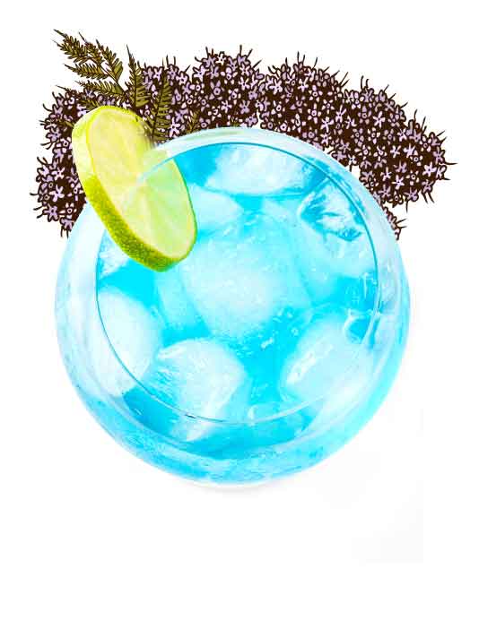 Premium Triple Distilled Blue Vodka - 37.5% – IL GUSTO UK